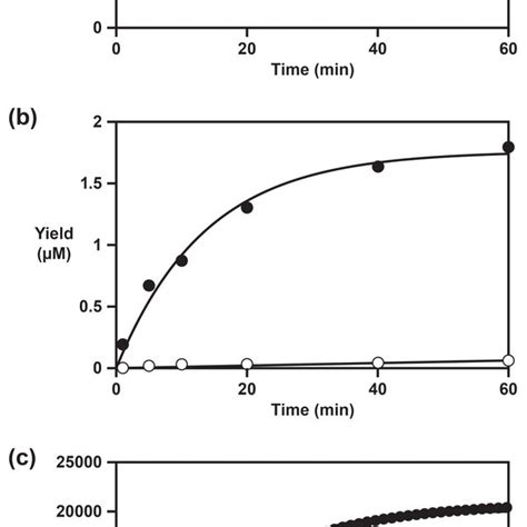 Functional Properties Of The Selected Rna Enzyme A Real Time Assay Of