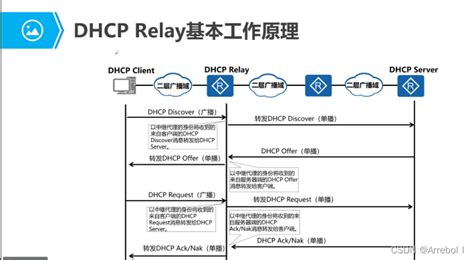 dhcp relay的原理与实验配置 dhcp realy csdn博客