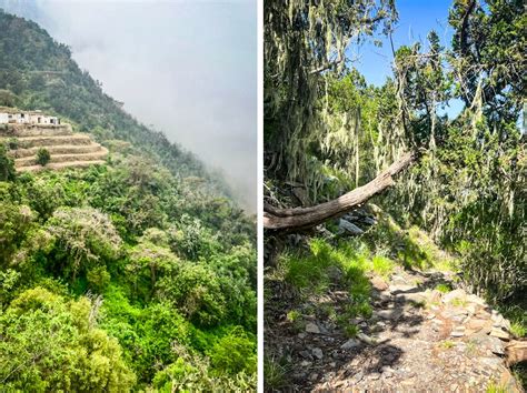 Inside Saudi Arabias Rising Hiking Boom