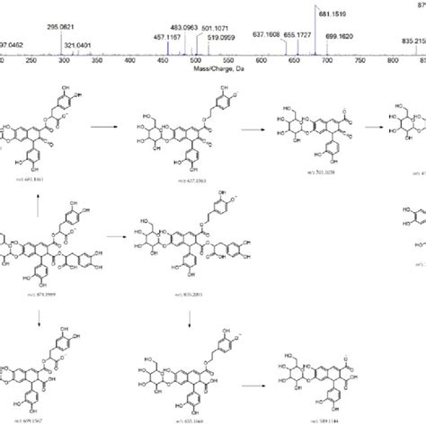 tof ms ms spectrum of compound 40 and its hypothesized main