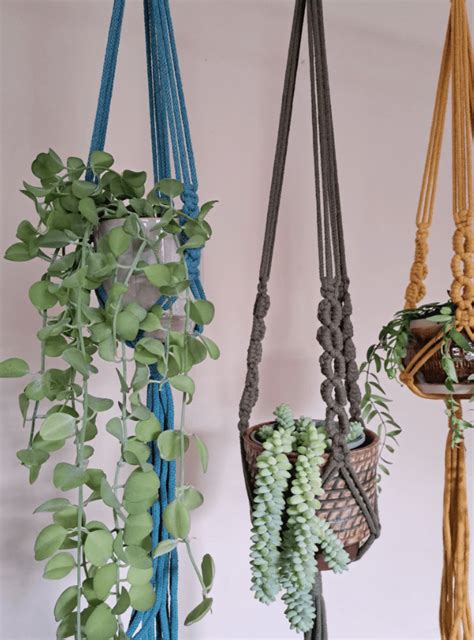Macramé Plant Hanger Recycled Cotton Cord • Ecomersh