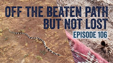 Bugging Out Keep Bugs And Rodents Out Of Your RV The Faiolas