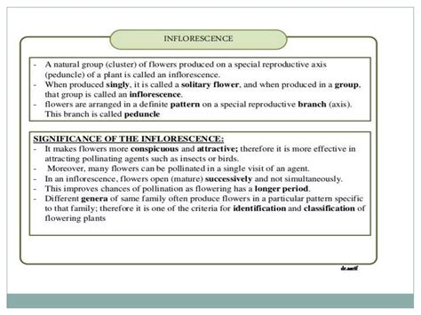 Types Of Roots And Plant Classification Ppt Types Of Roots And Plant Classification Ppt