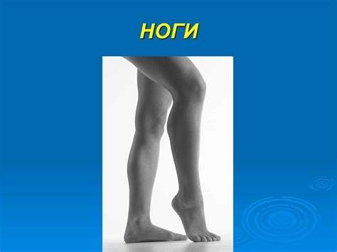 Дидактическая игра Знакомим детей с частями тела человека презентация онлайн