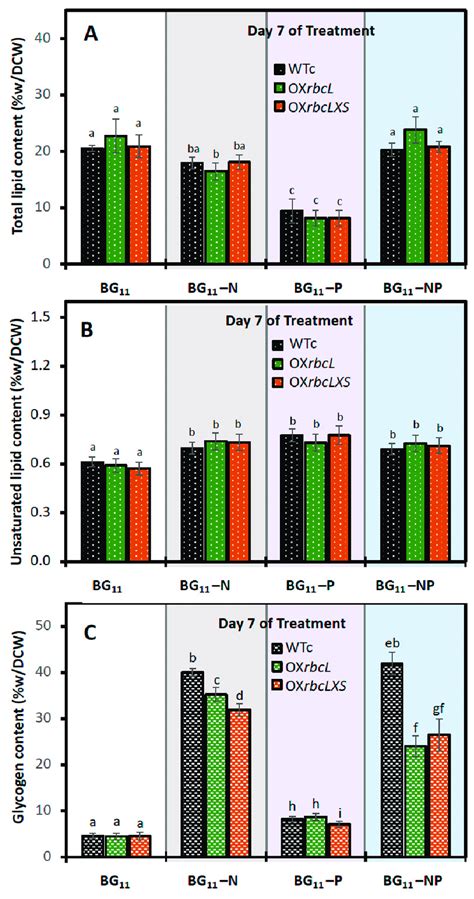 Contents Of A Total Lipids B Unsaturated Lipids And C Glycogen