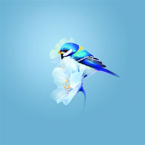 Cute Bird Wallpaper 4k Blue Flower Blue Background