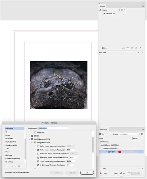 Solved Ppi Doest Not Show In Links Panel Option Adobe Support