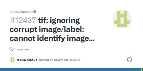 Tif Ignoring Corrupt Imagelabel Cannot Identify Image File · Issue