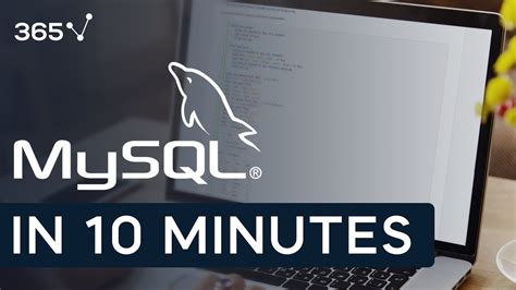 Mysql In 10 Minutes Introduction To Databases Sql And Mysql Youtube