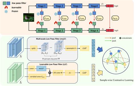exploring graph based knowledge multi level feature distillation via