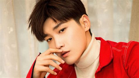 Xing Zhao Lin Movies And Tv Shows