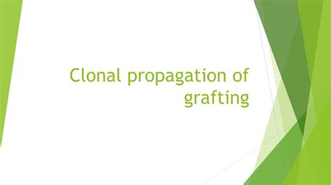 Clonal Propagation Of Grafting Pptx