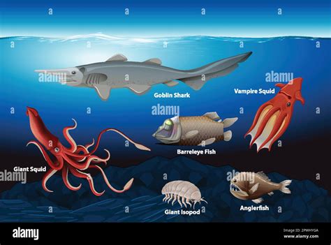 Vampire Squid From Hades
