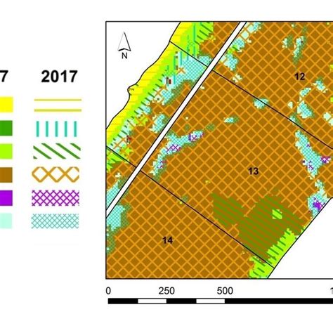 Fragment Of The Map Of The Multi Temporal State Of Vegetation On The