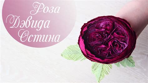 Английская роза из гофрированной бумаги Мастер класс Роза Дэвида Остина из гофрированной