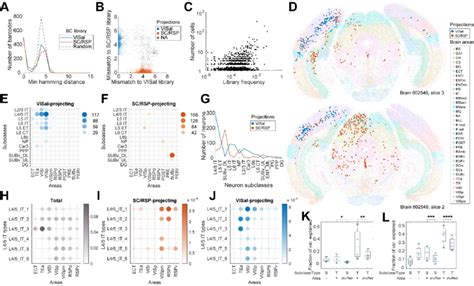 Multiplexed Retrograde Labeling Recapitulates Known Cortical