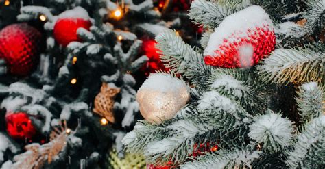 겨울 겨울 동화나라 겨울 시즌 겨울 풍경 계절 계절 장식 공 금 장식품 기념 냉랭한 녹색 장식품 눈 눈 덮인 눈송이 눈이 내리는 반짝이는 불빛