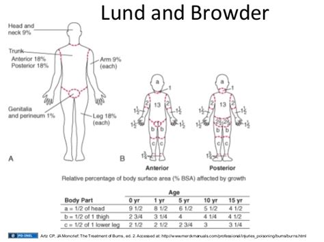 Lund And Browder Chart Paediatric