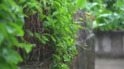 행운을 끌어오는 신비한 명상음악 🎵 하루10분 만병을 치료 해주는 힐링 명상 기치료 음악 및 영상 힐링음악 요가음악 명상