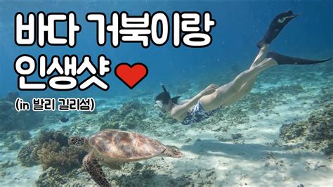 내가 제일 사랑하는 섬 YouTube