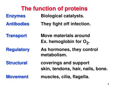 PPT - Proteins PowerPoint Presentation, free download - ID:6676581