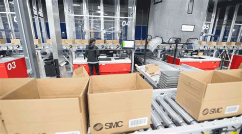 Guide To Automated Packing What It Is And Why You Need It