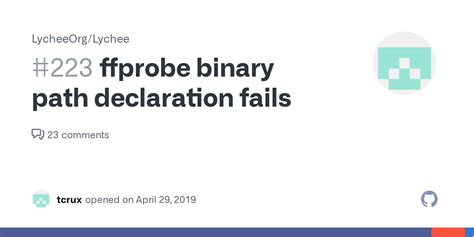 Ffprobe Binary Path Declaration Fails · Issue 223 · Lycheeorglychee