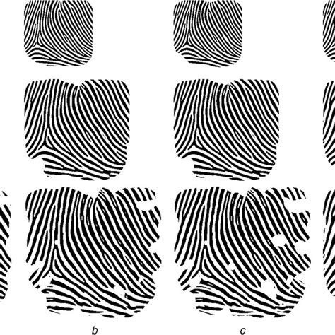 Fingerprint Super Resolution Reconstruction Based On Classification Download Scientific Diagram