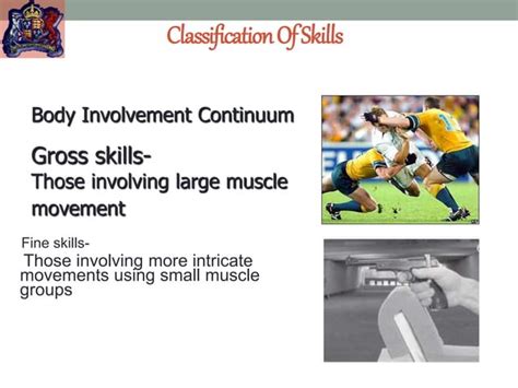 Motor Skills In Pe Ppt Sports