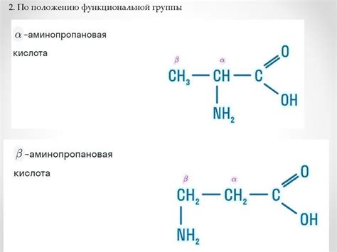 Аминокислоты. понятие об аминокислотах, как амфотерных органических ...