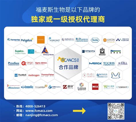 超好用的国产数学公式编辑器 axmath，已分享安装教程及安装包！ 哔哩哔哩