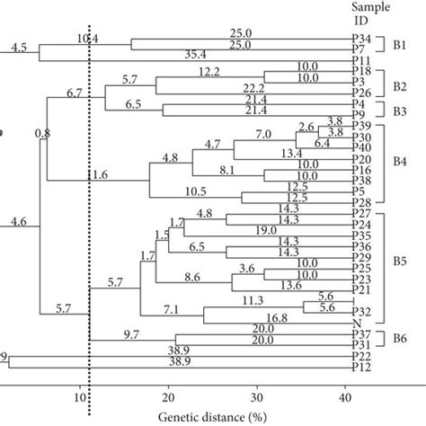 Dendrogram Generated From Eric Pcr Fingerprinting Of 29 Isolates Of