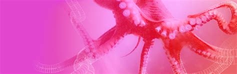 Spp2100 Spp 2100 Soft Material Robotics