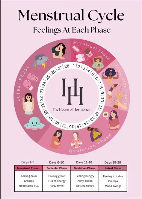 Fases del ciclo menstrual – Artofit
