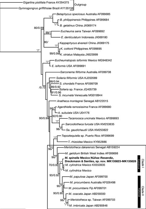 bayesian inference topology based on rbcl sequence data ml bootstrap