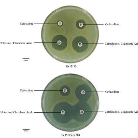 Esbl Confirmatory Test A The Esbl Confirmation Test Of Ec15103 B Download Scientific