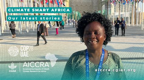 Aiccra At Cop28 Scaling Cgiar Innovations In Africa Through Robust