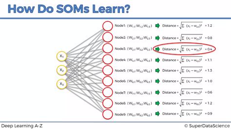 Dl Udemy 3 Self Organizing Maps Soms By Won Joon Choi Medium