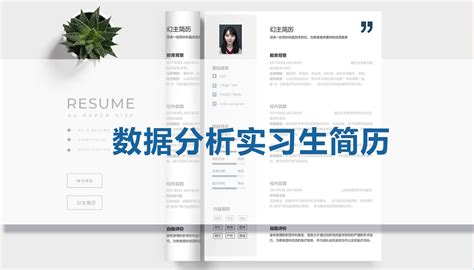 数据分析实习生的简历 幻主简历 数据分析实习生的简历 幻主简历