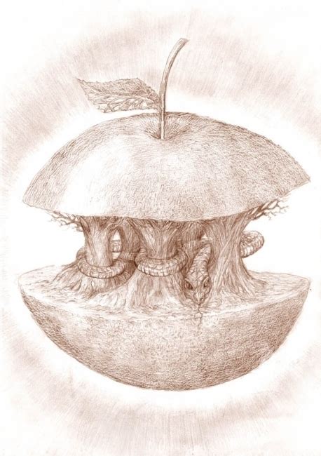 Иллюстрация Яблоко в стиле книжная графика