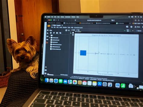 Python Statistics Datascience Learning Universidadicesi Coding Ai Mónica Fernandes Pineda