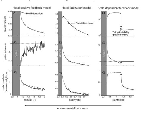 spatial variance spatial skewness and spatial correlation between