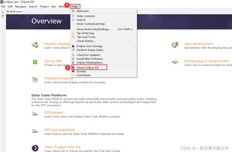 eclipse本地安装spring tool suite插件 eclipse安装spring tool suite csdn博客