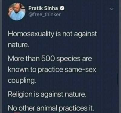 Excellent Point Tumbex