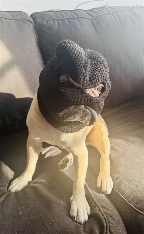 Salesforce Cloudodyssey Salesforcecommercecloud Coreclouds