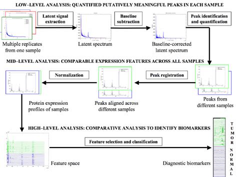 Overview Of Our Hierarchical Data Analysis Pipeline Download