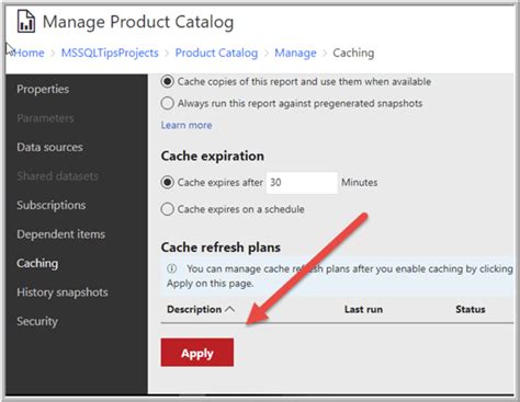 Ssrs Caching And Snapshots