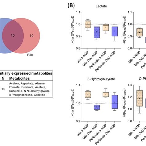 Comparison Between Metabolite Concentrations In Bile And Perfusate