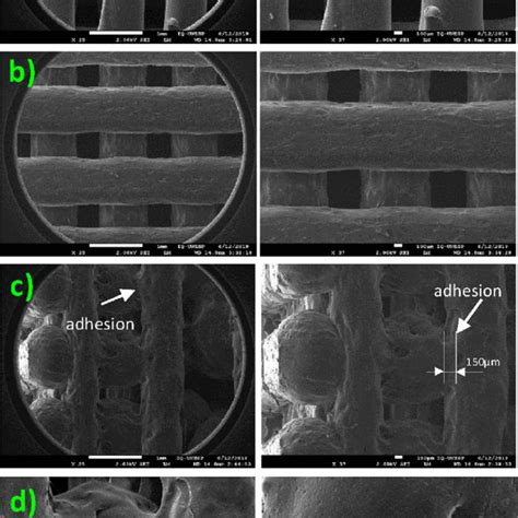 Sem Micrographs Of Upper View Download Scientific Diagram