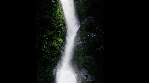 Procedural Flowmap V With Geometry Nodes Finished Projects Blender Artists Community